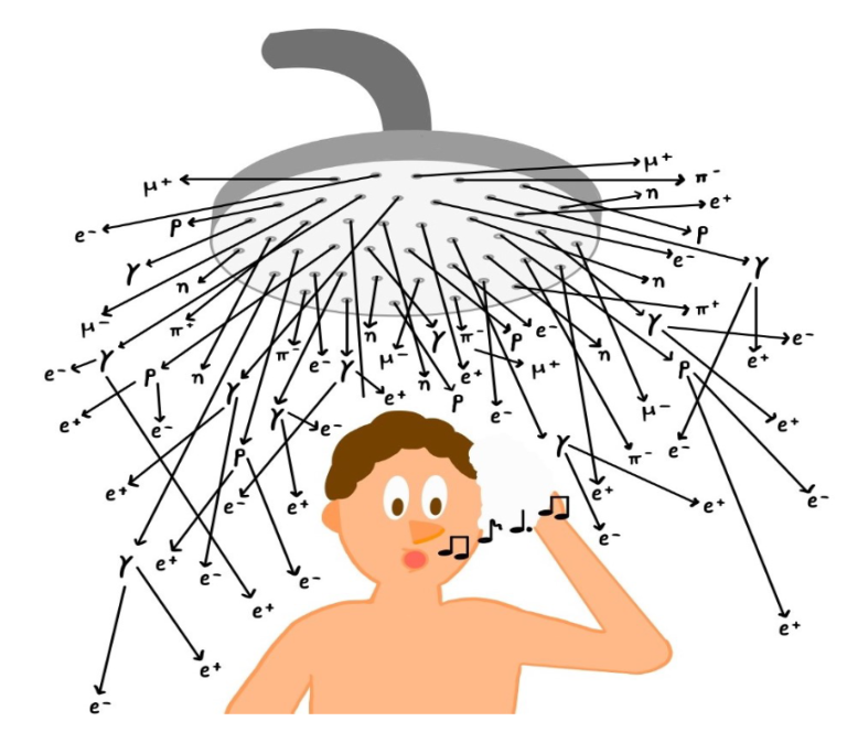 Cosmic shower | the Quantum Universe