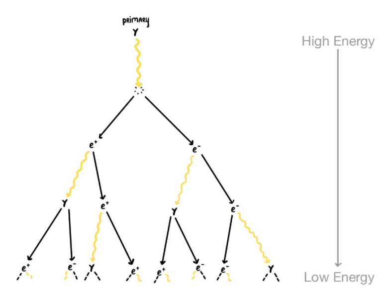 Cosmic shower | the Quantum Universe